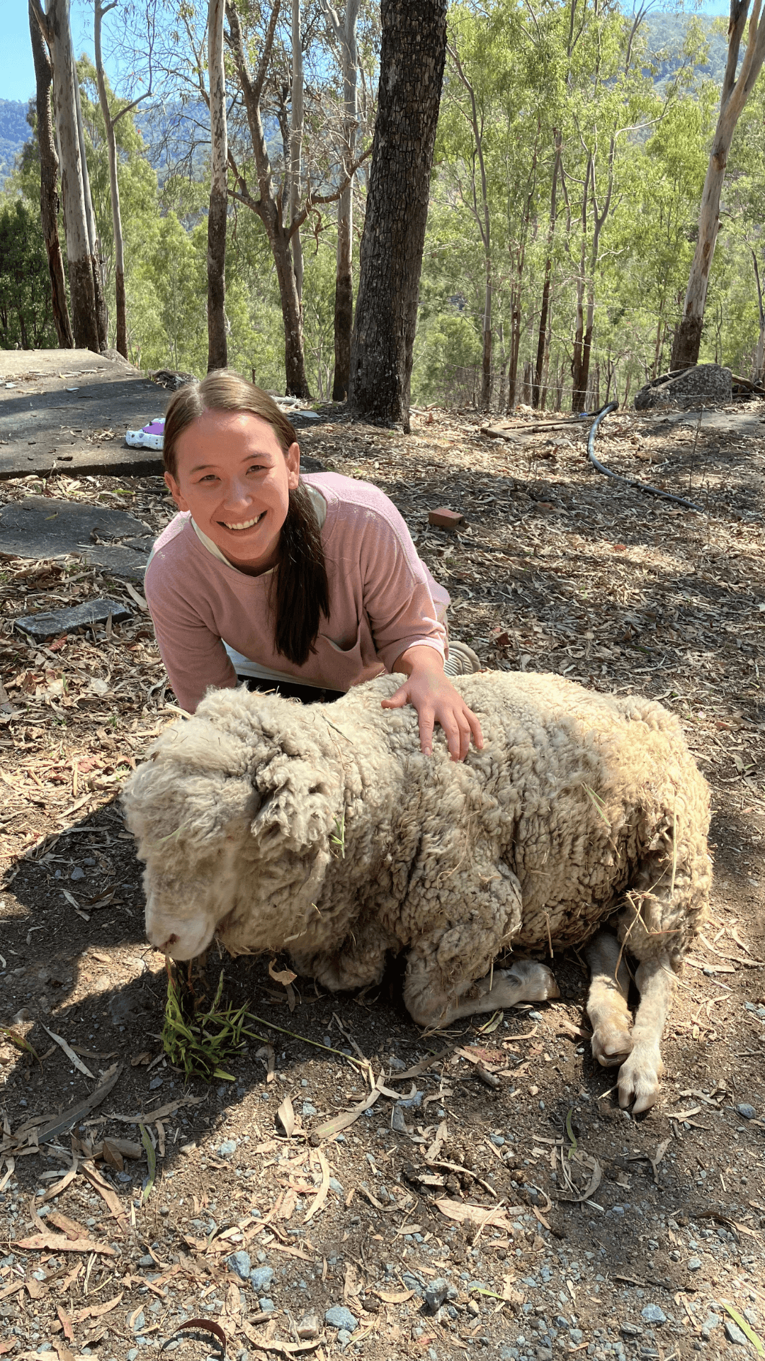 Labour of love – Volunteering Queensland