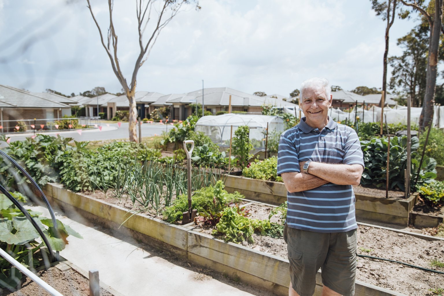 Discover the Power of Seniors Volunteering – Where Contribution Meets ...